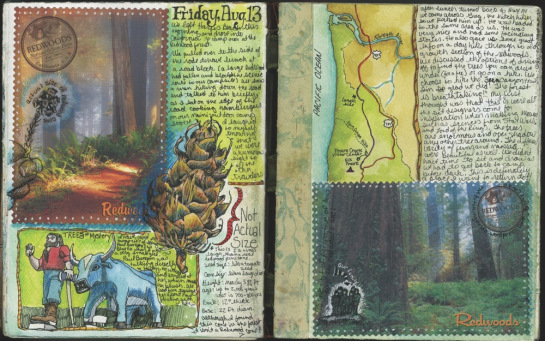 A conversation with Lisa Cheney Jorgensen from “An Illustrated Journey ...