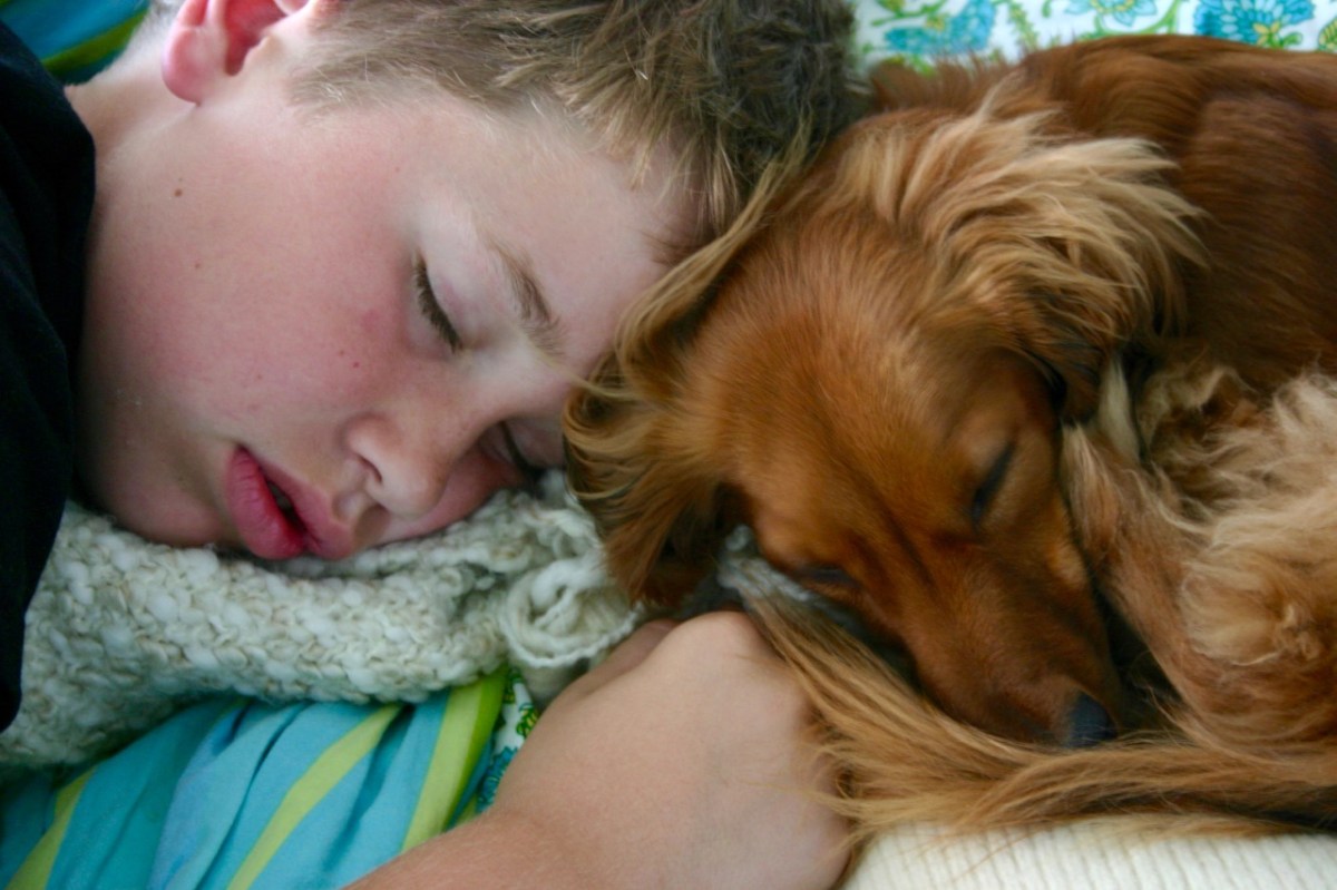 The man. – Danny Gregory