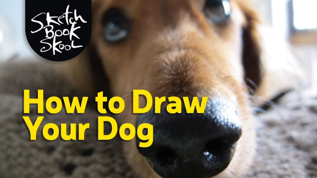 How to Draw Your Dog (without talent) – Danny Gregory